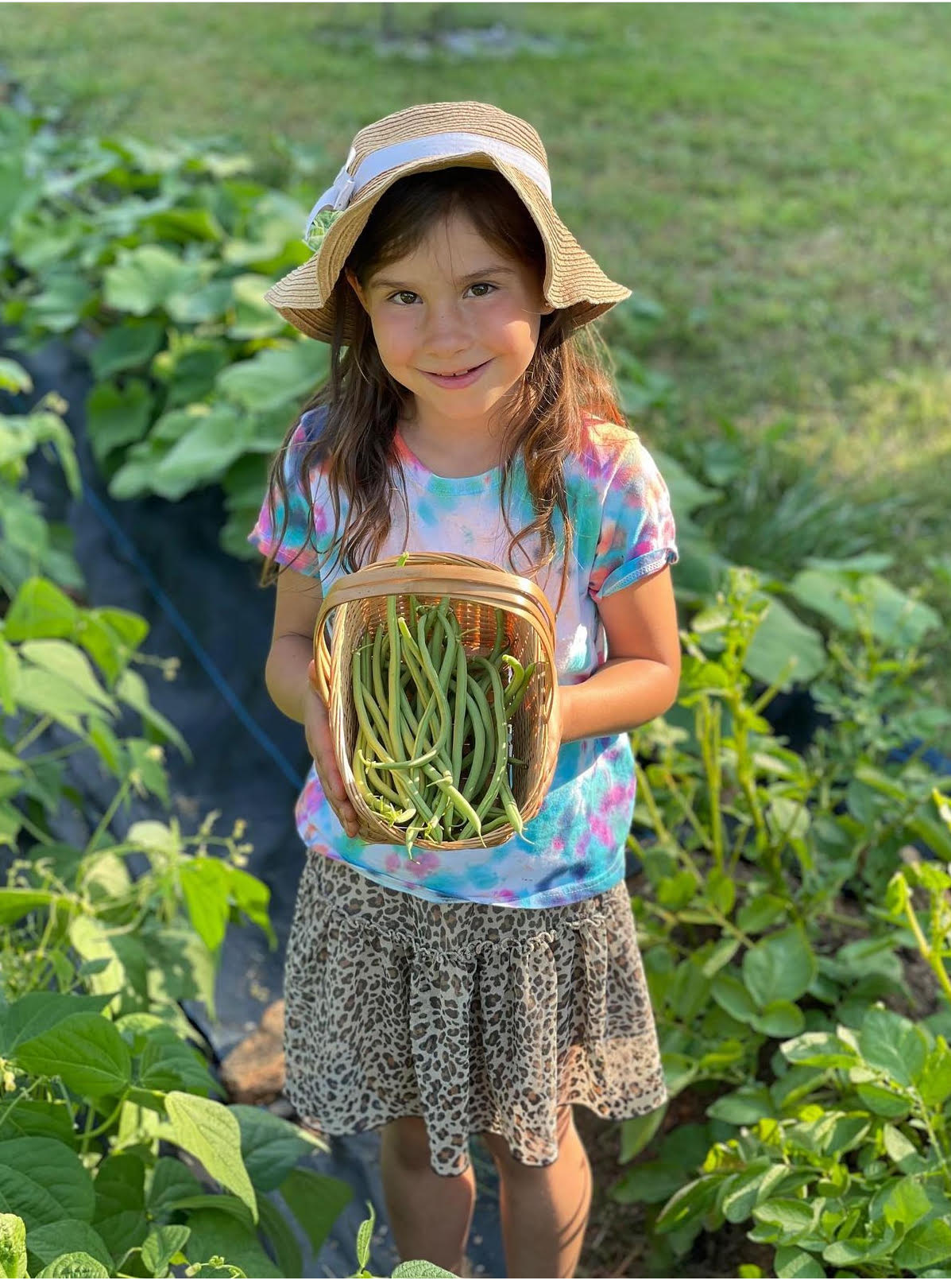 Meet the Family | Hickory Hill Farm